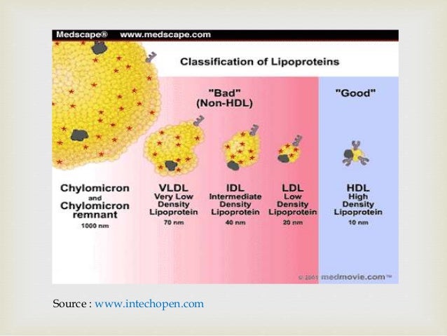 Classes of lipoproteins and their role in the