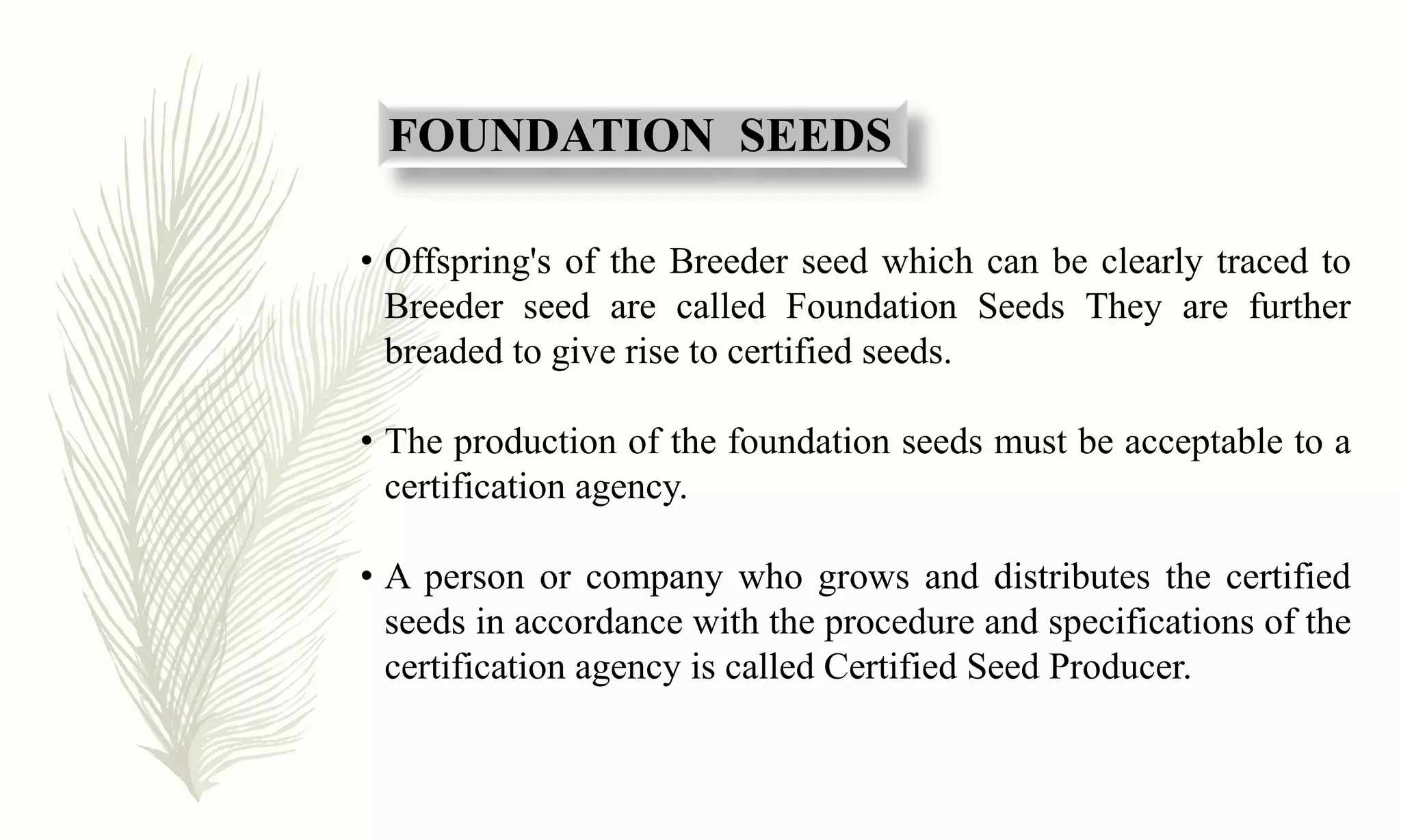 Classes of seeds | PPT