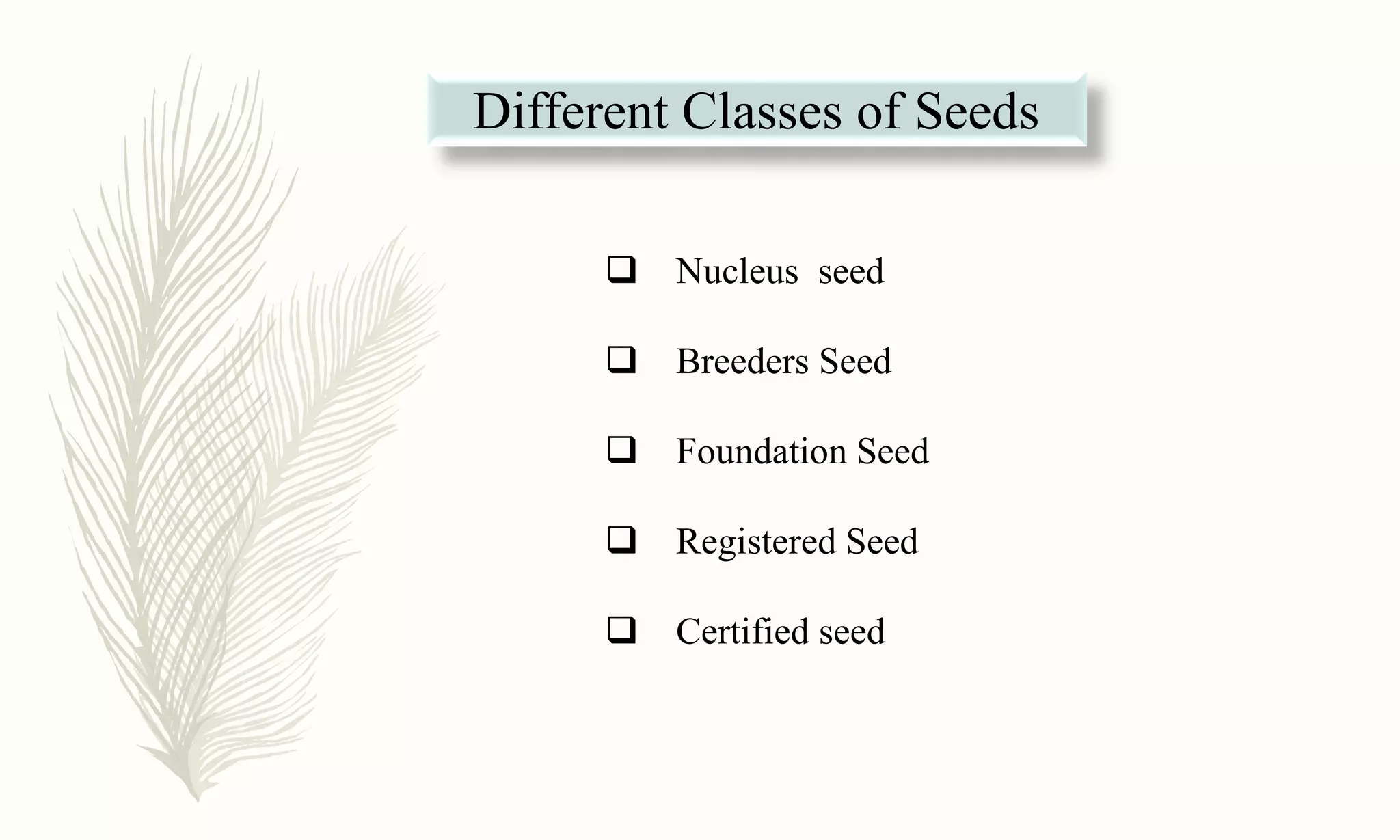 Classes of seeds | PPT