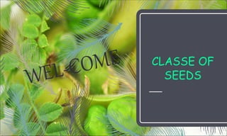 Classes of seeds | PPT