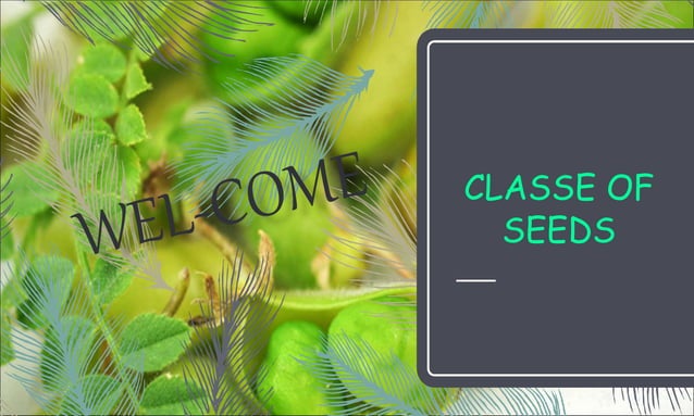 Classes of seeds | PPT