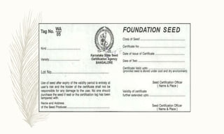 Classes of seeds | PPT