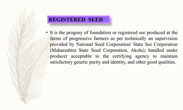 Classes of seeds | PPT