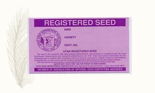 Classes of seeds | PPT