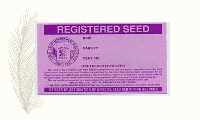 Classes of seeds | PPT