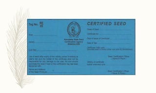 Classes of seeds | PPT