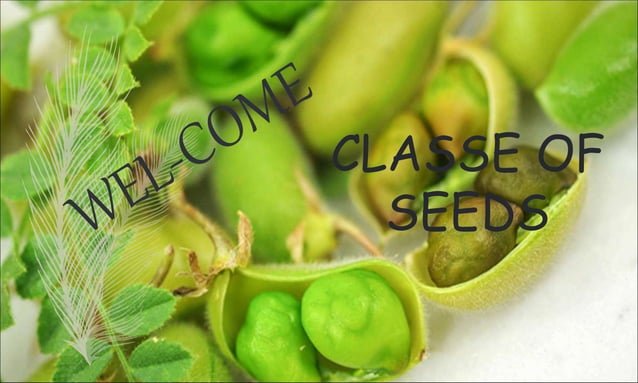 Classes of seeds | PPT