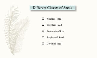 Classes of seeds | PPT