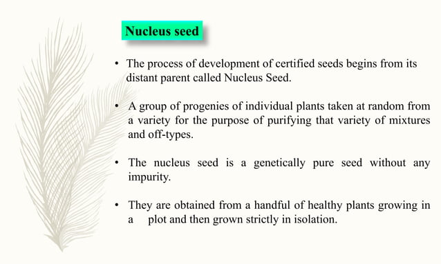 Classes of seeds | PPT