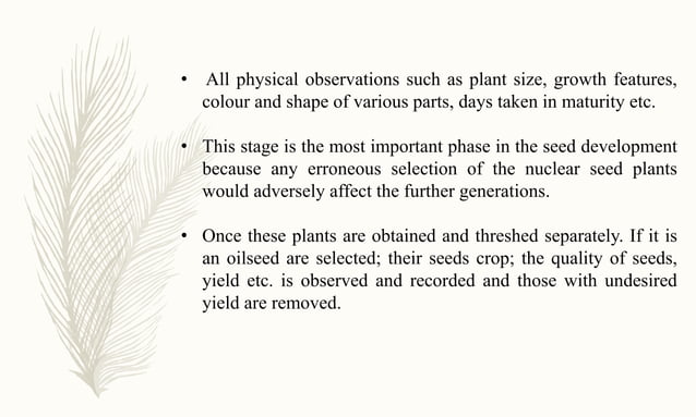 Classes of seeds | PPT