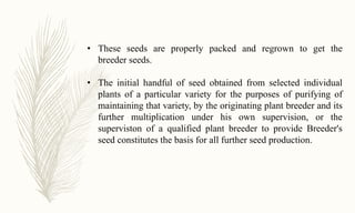 Classes of seeds | PPT