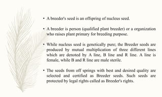 Classes of seeds | PPT