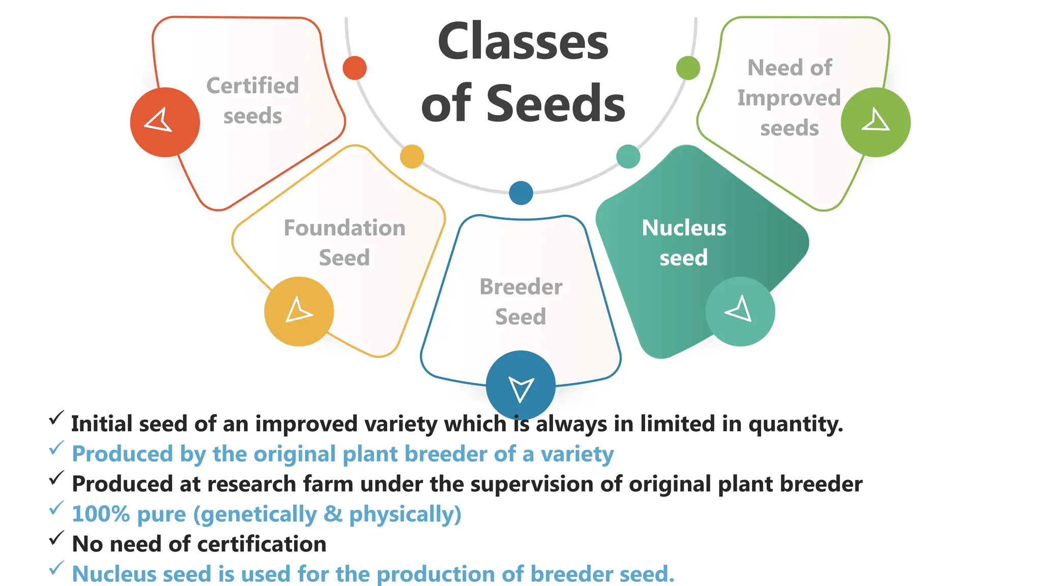 Seed Certification - classes of seeds.pptx