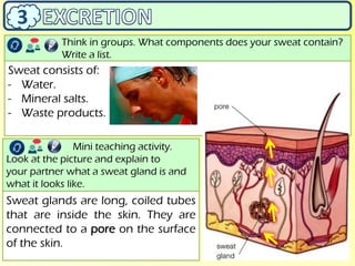 NUTRITION II. CIRCULATION AND EXCRETION (EXPLANATION) | PDF