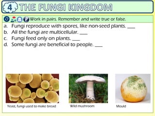 Class explanation - The Classification of Living Things | PDF