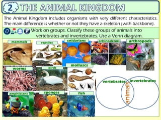 Class explanation - The Classification of Living Things | PDF