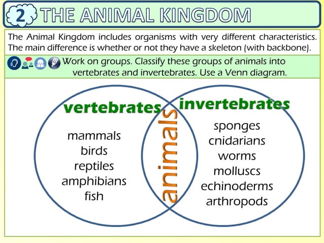 Class explanation - The Classification of Living Things | PPT