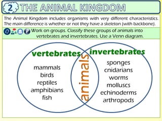 Invertebrates And Vertebrates Venn Diagram