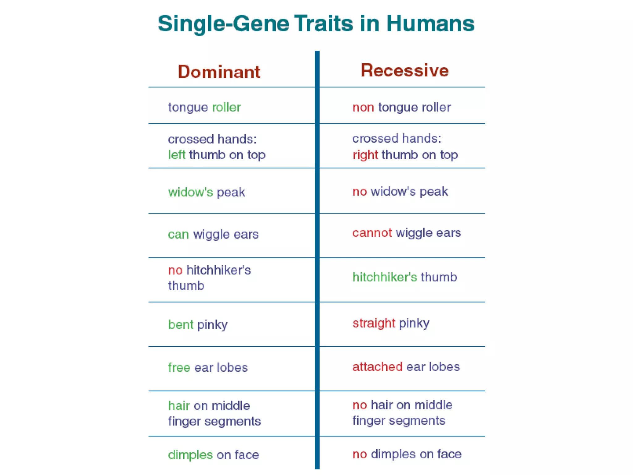 Class Genetics Survey | PPT