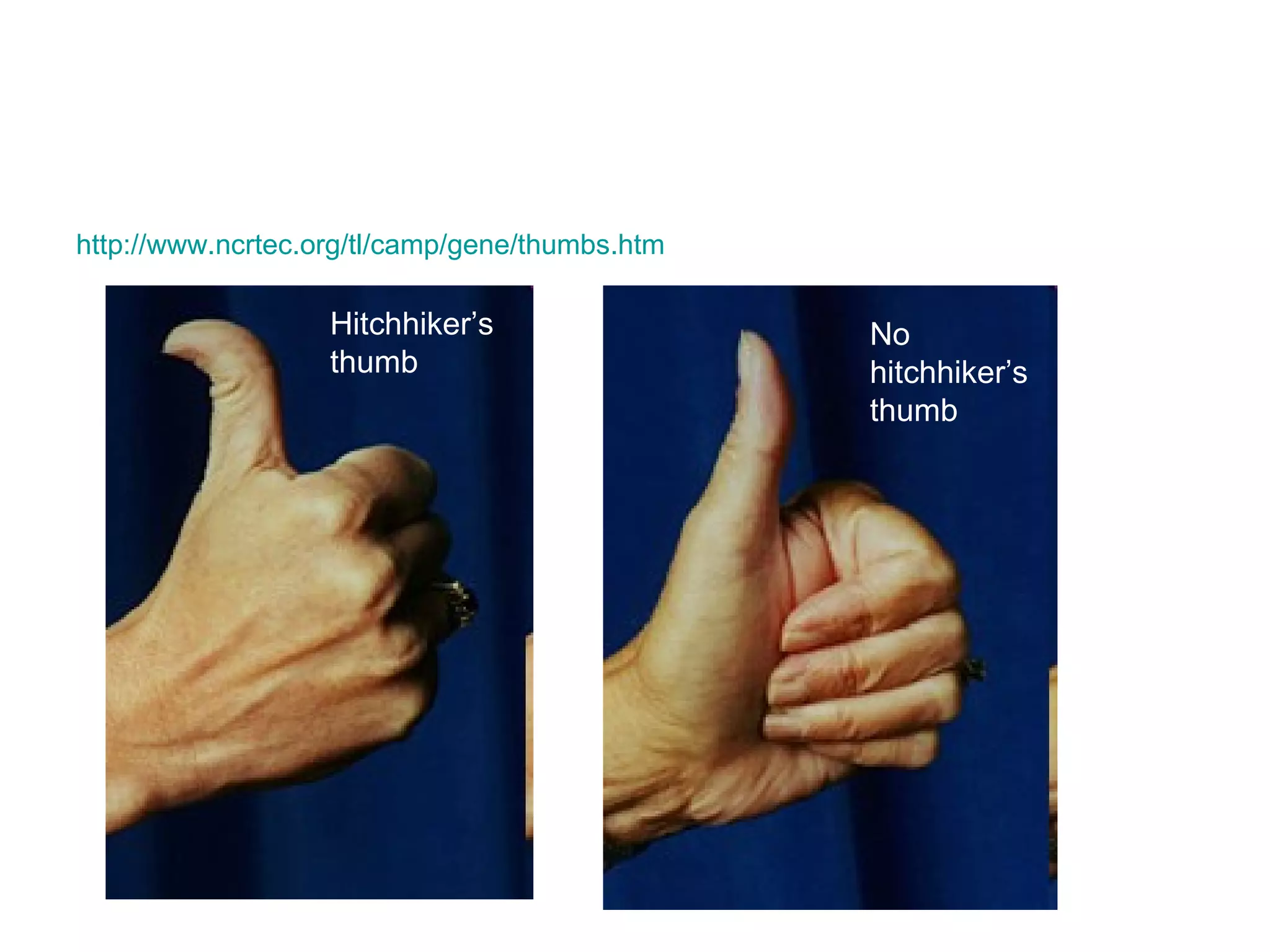 Class Genetics Survey | PPT | Free Download