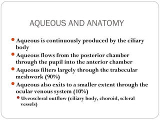 Glaucoma | PPT | Eye and Vision Conditions | Diseases and Conditions