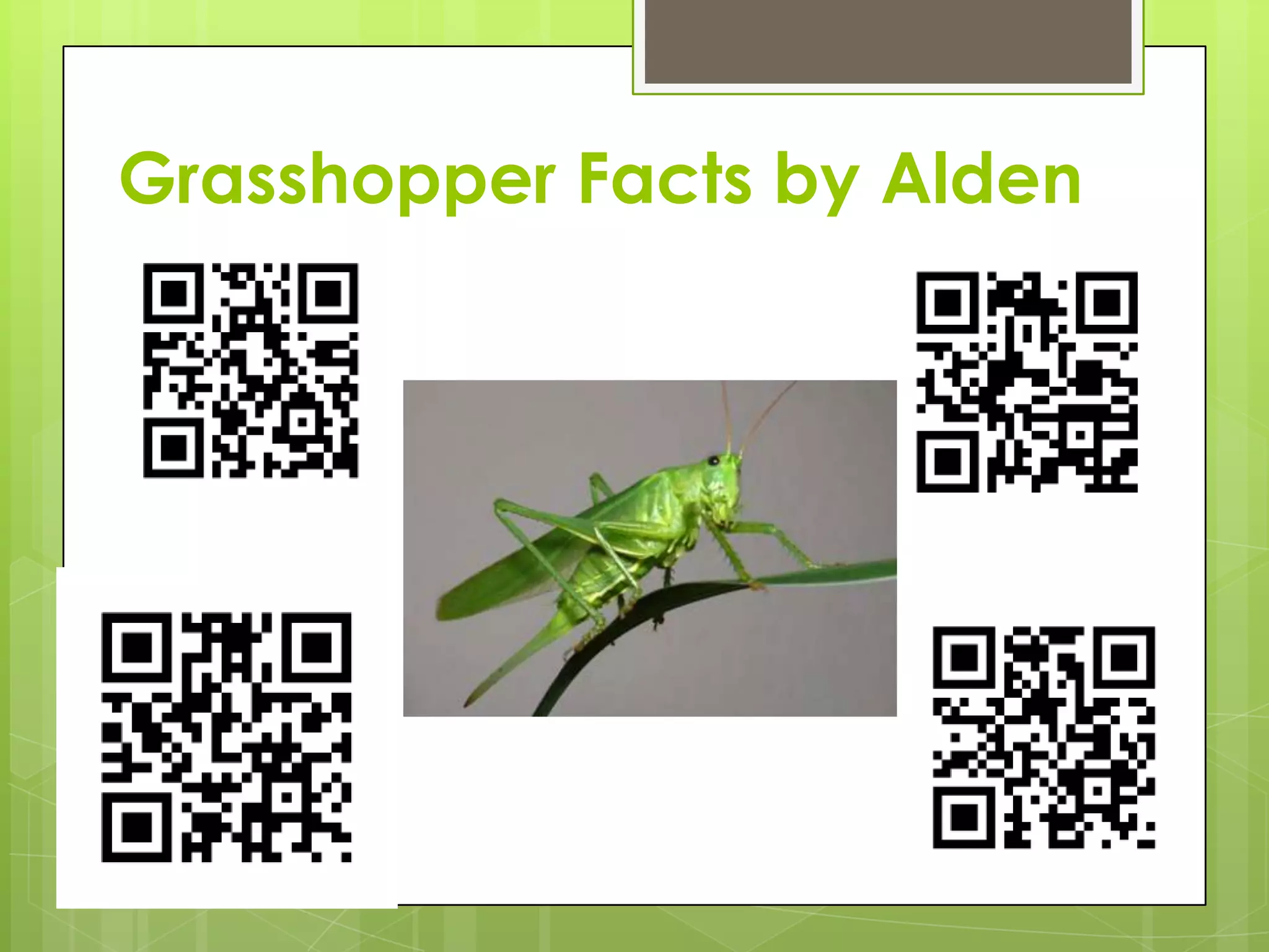 Class grasshopper QR Facts | PPT