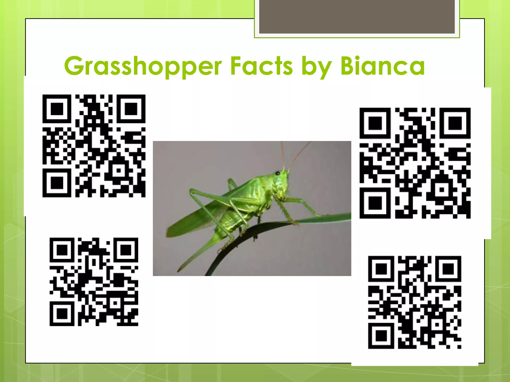 Class grasshopper QR Facts | PPT