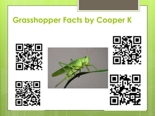 Class grasshopper QR Facts | PPTX