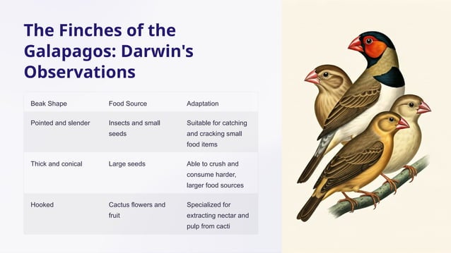 Classic-Experiments-on-the-Evolution-of-Life.pptx
