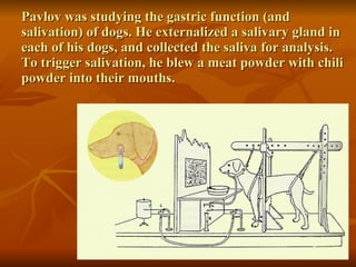 Classical and Operant Conditioning | PPT