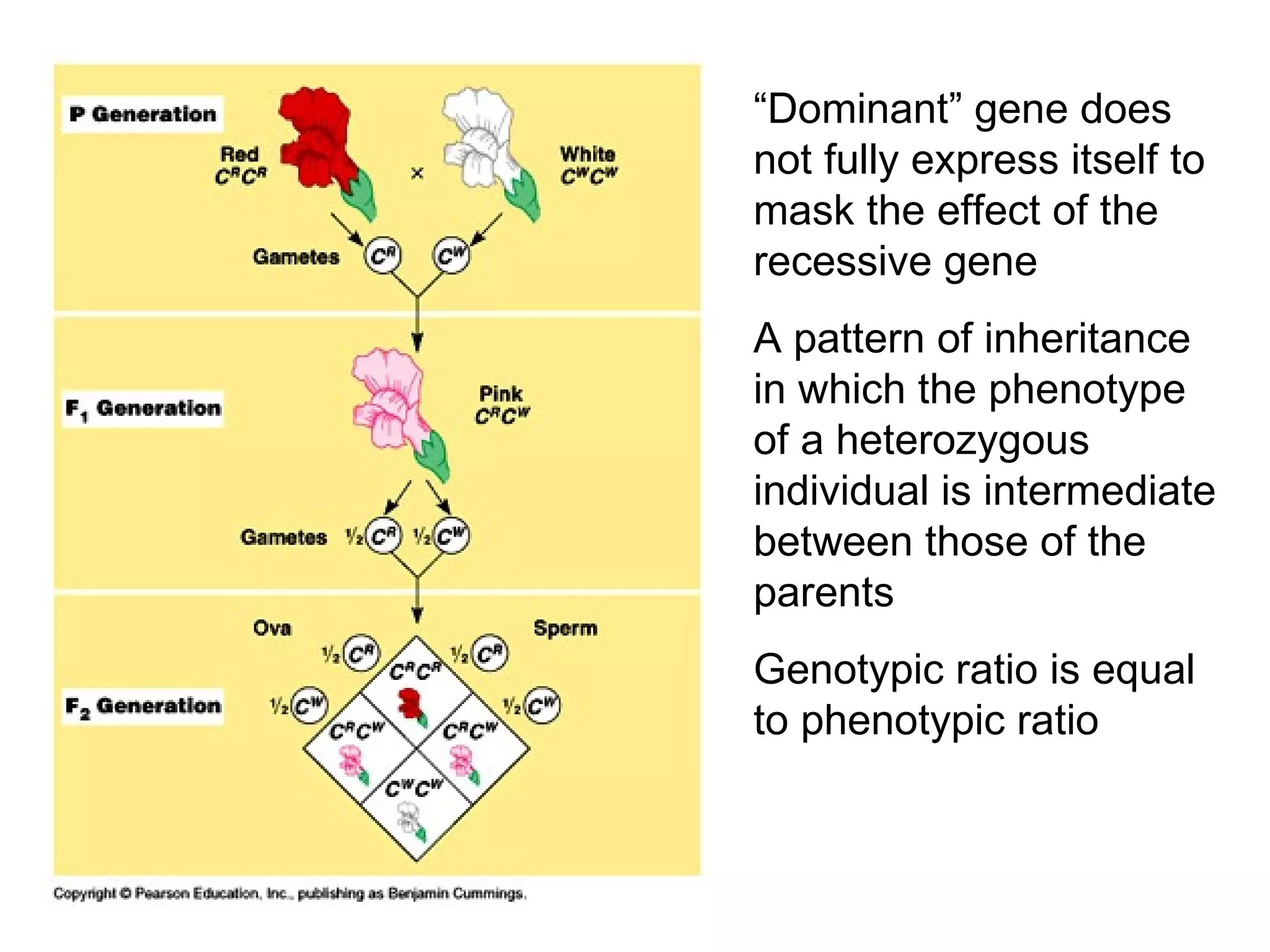 Classical Genetics | PPT
