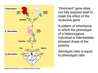 Classical Genetics | PPT