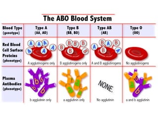 Classical Genetics | PPT