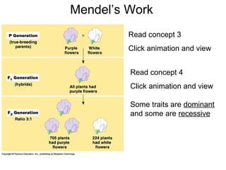 Classical Genetics | PPT