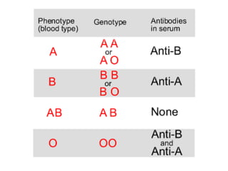 Classical Genetics | PPT