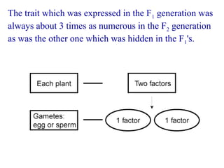 Classical and modern genetics | PPT
