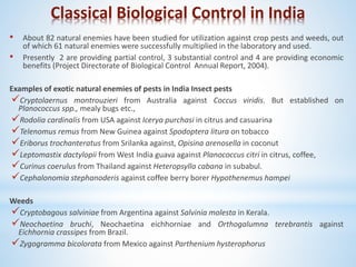 Classical biological control | PPTX