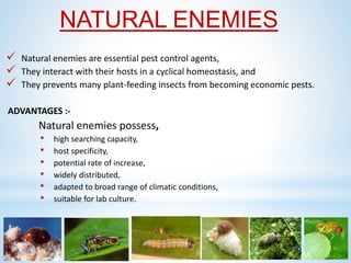 Classical biological control | PPTX