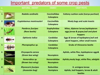Classical biological control | PPTX