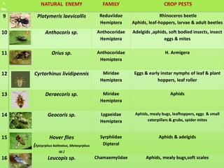 Classical biological control | PPTX