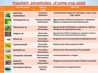 Classical biological control | PPTX