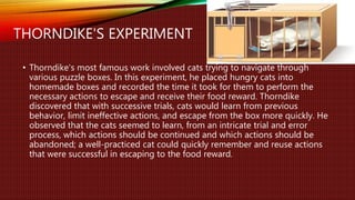 classical conditioning and operant conditioning | PPTX