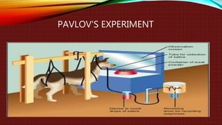 classical conditioning and operant conditioning | PPTX