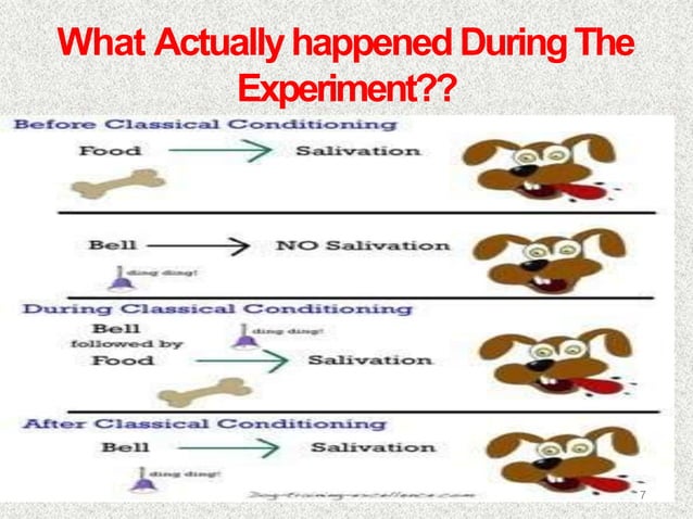 Classical conditional theory dr. babita | PPTX