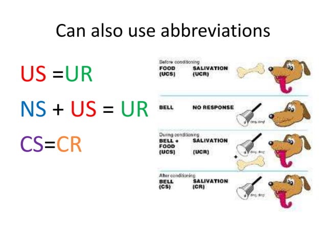 Classical conditioning | PPTX | Dogs | Pets