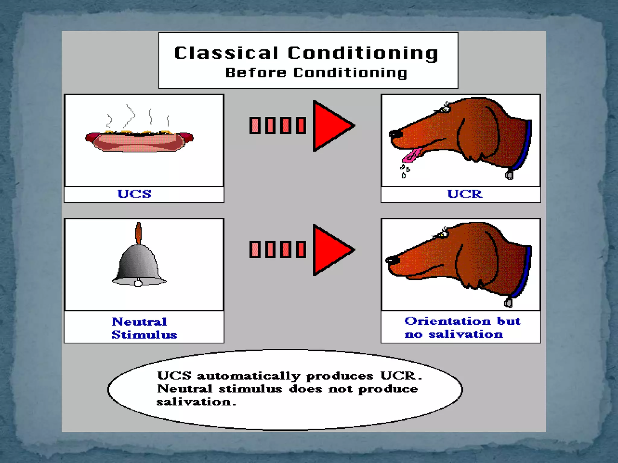 Classical conditioning | PPTX
