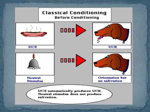 Classical conditioning | PPTX