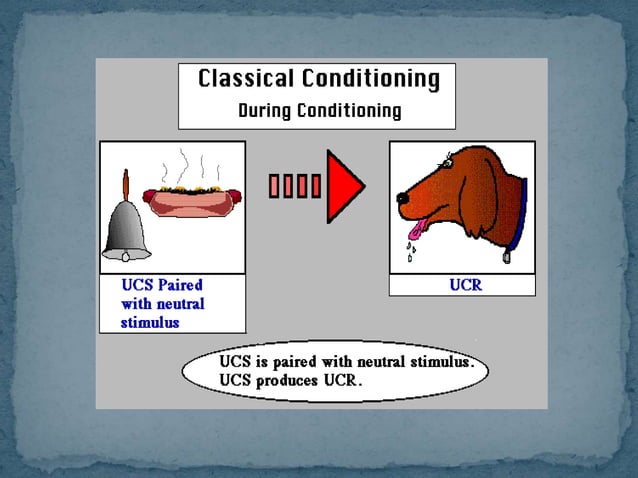 Classical conditioning | PPTX