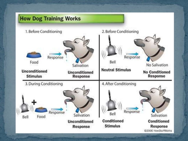Classical conditioning | PPTX