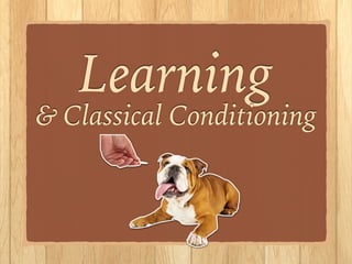 Classical Conditioning Dog